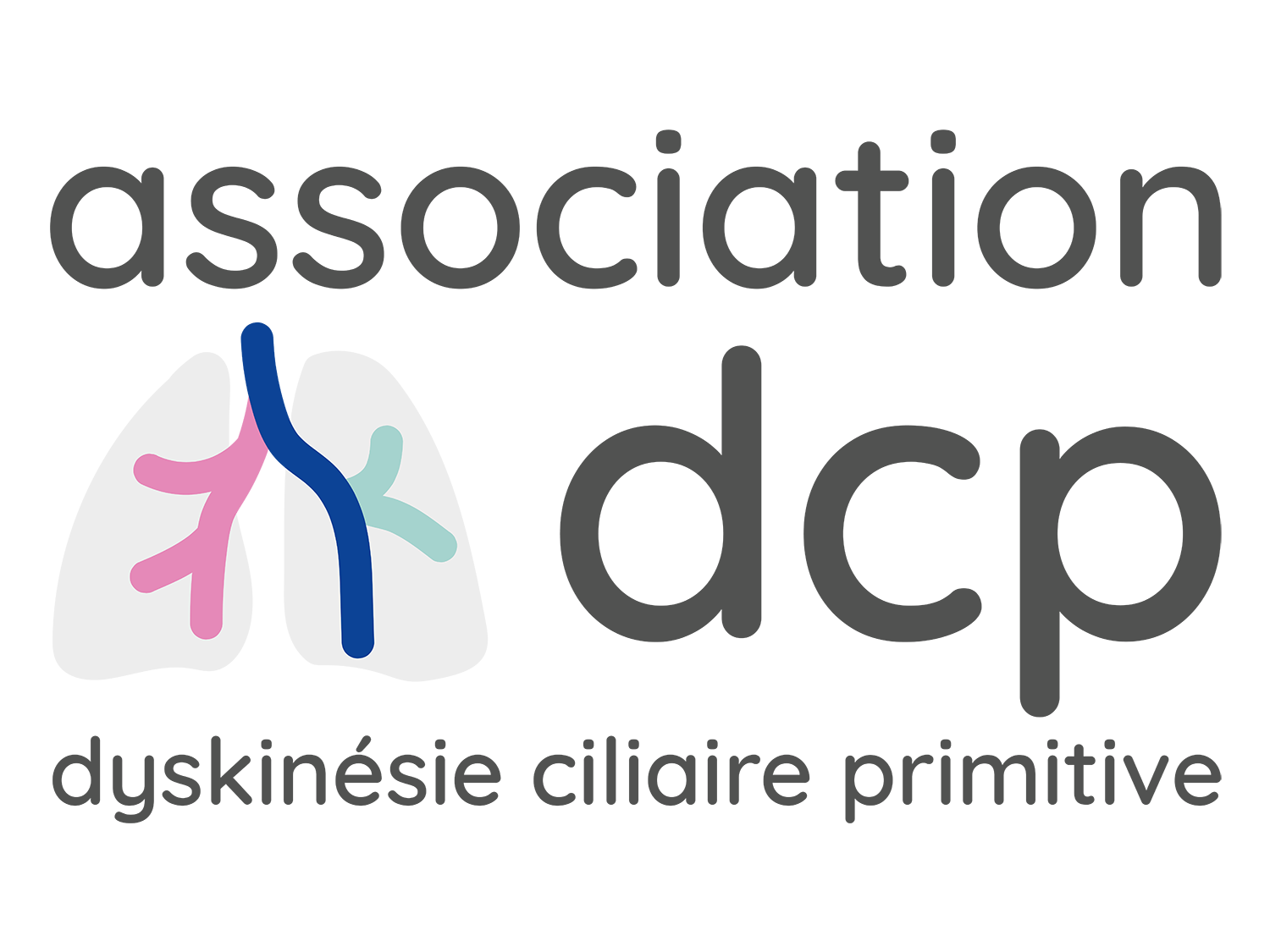 Associations - RespiFIL - Filière de santé des maladies respiratoires rares